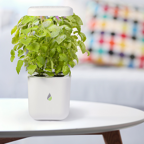 Pametna Wi-Fi bašta UrbiGo starter pack | Volim svoj dom