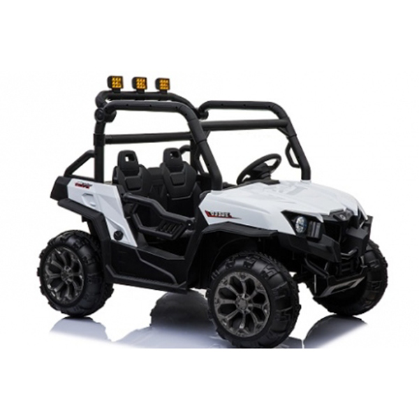 Automobil na akumulator Bagi Dvosed 309 | Volim svoj dom