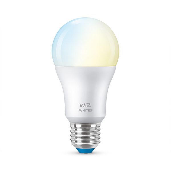 Led wifi sijalica 13W (100W) A67 E27 WiZ WIZ004 | Volim svoj dom